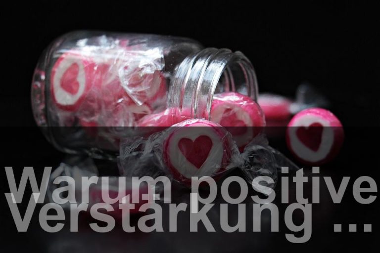 Warum positive Verstärkung in Beziehungen funktioniert und wie man sie ...